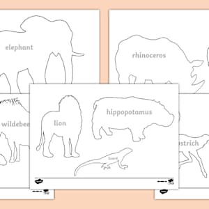 Safari Animal Templates | Primary Resources