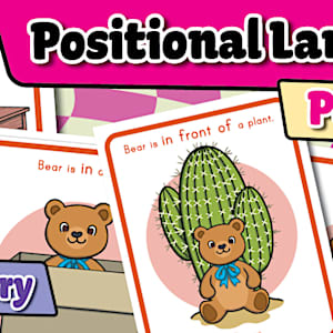 Teddy Bear Positional Language Posters (teacher made)