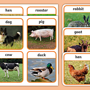 Farm Animal Photo Cards - KS1 - Twinkl