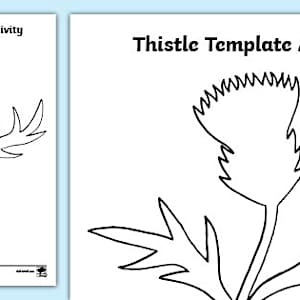 Thistle Template – CfE First Level Activity Sheet