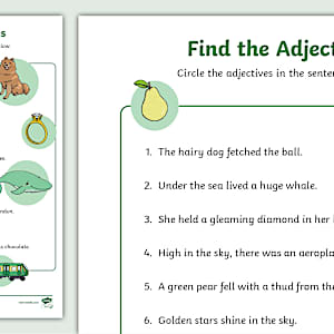 Find the Adjectives Activity