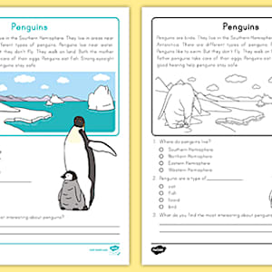 Kindergarten Penguins Reading Comprehension | Twinkl USA