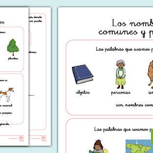 Ficha de nombres propios y comunes 2 primaria