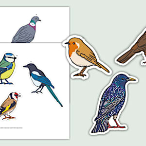 Garden Birds Display Cut-Outs