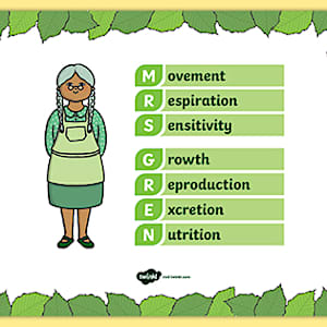 Characteristics of Living Things Mrs. Gren Acronym Poster