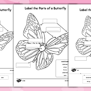 Label the Parts of the Butterfly Worksheet - Science - Twinkl