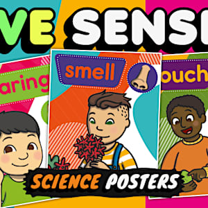 Five Senses Posters