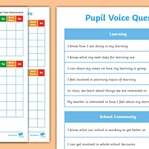 Pupil Voice Questionnaire