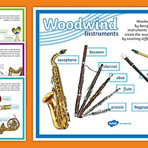 Musical Instrument Families Worksheet Posters for Kids