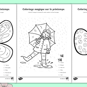 👉 Spring French Colour by Number