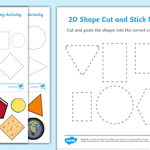 SA 2D Shapes Cut and Stick Matching Activity (teacher made)