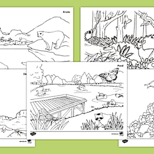 Habitat Coloring Pages (öğretmen yaptı) - Twinkl