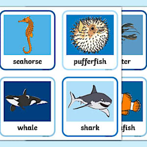 Ocean animals matching activity cards- easy to print.
