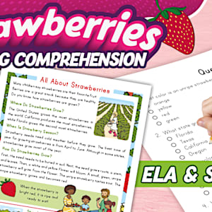 Second Grade All About Strawberries Reading Comprehension Worksheet