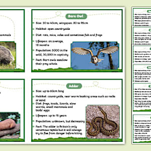 British Wildlife Information Cards