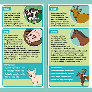 Farm Animal Fact Cards