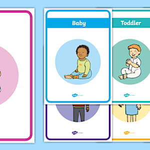 Human Life Cycle Posters