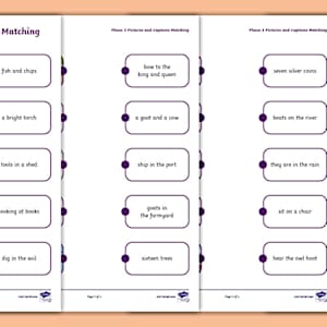 Phase 3 Pictures and Captions Matching Worksheets | Twinkl
