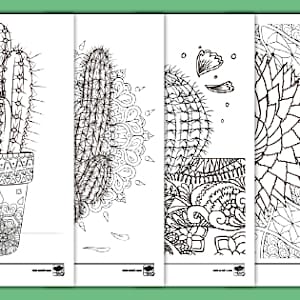 Cactus Coloring Sheets for Mindful Coloring | Twinkl