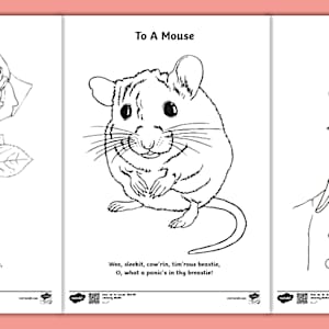 Robert Burns Colouring Pages Resource