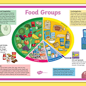 Large Food Groups Poster