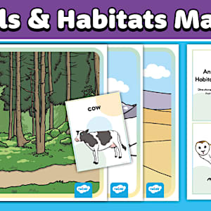 Animals and Habitats Matching Activity for K-2nd Grade