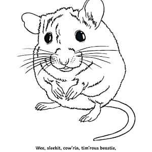 Robert Burns Colouring Pages Resource