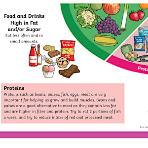 Large Food Groups Poster