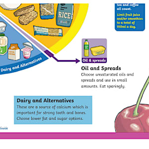Large Food Groups Poster