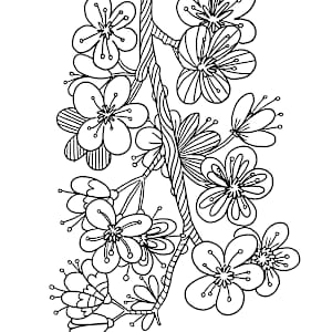 Spring Coloring Pages Printable Resource Pack | Twinkl USA