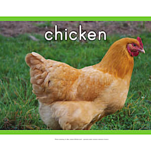 Farm Pics for Kids | Teaching Resources | Twinkl USA
