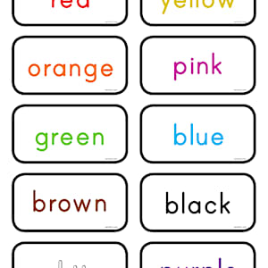 Dress the Bear Printable | Resource | Twinkl USA - Twinkl