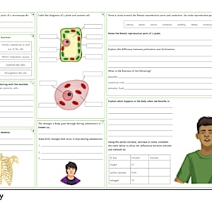 KS3 Science Revision Mats | KS3 Science | Beyond