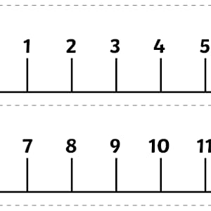 Positive and Negative Number Line to 20 | Twinkl USA