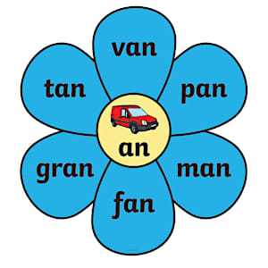 Word Family Flowers (teacher made) - Twinkl