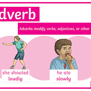 Type Of Words - Parts of Speech Display - Word Classes