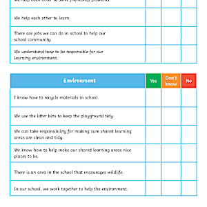 Pupil Voice Questionnaire