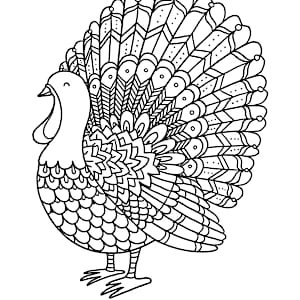 Thanksgiving Mindfulness Coloring Pages | Twinkl