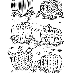 Thanksgiving Mindfulness Coloring Pages | Twinkl