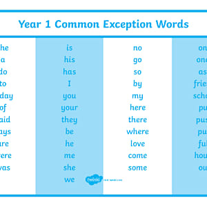 Year 1 Common Exception Words Word Mat - Primary Education