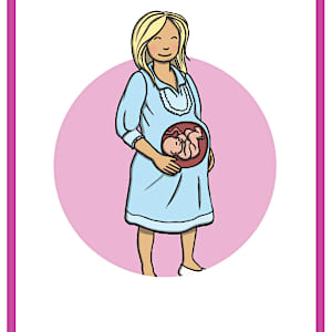 Human Life Cycle Posters