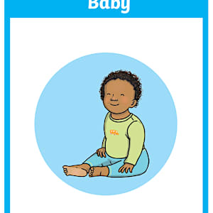 Human Life Cycle Posters