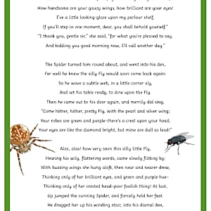 The Spider and the Fly Poem - KS2 Print-Outs - Twinkl