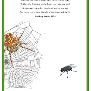 The Spider and the Fly Poem - KS2 Print-Outs - Twinkl