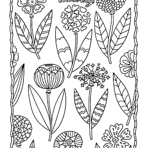 Adult Colouring Mindfulness Colouring Sheets Pack