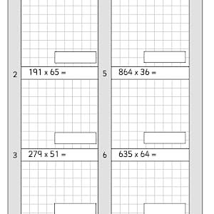 Multiplying 3 Digit Numbers by 2 Digit Numbers Worksheet / Worksheet