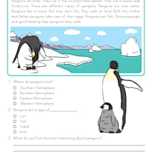 Kindergarten Penguins Reading Comprehension | Twinkl USA