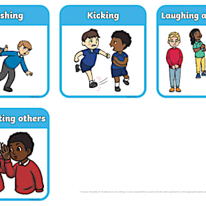 Acceptable and Unacceptable Behaviour Activity | Twinkl