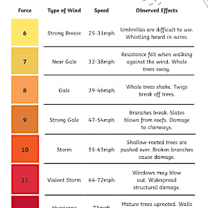 The Beaufort Scale for Children