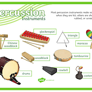 Musical Instrument Families Worksheet Posters for Kids
